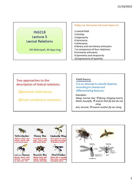 Ing218 Lexical Relations Pdf