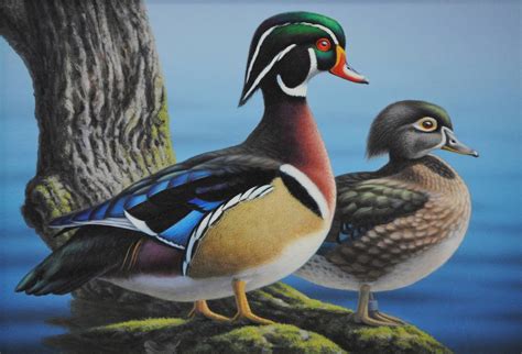 Ron Louque Wood Ducks Contemporary Wildlife Animal Bird