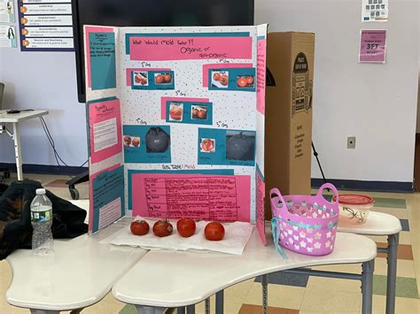 2022 Science Fair Albany Leadership