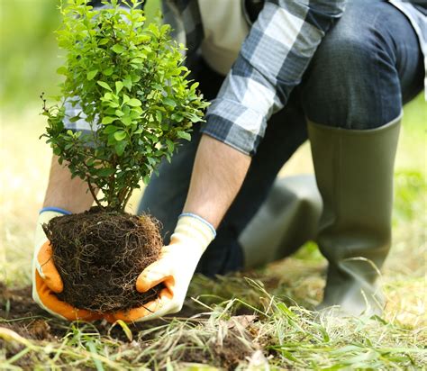 Traueranzeigen Von Rainer Wünsche Trauernnde