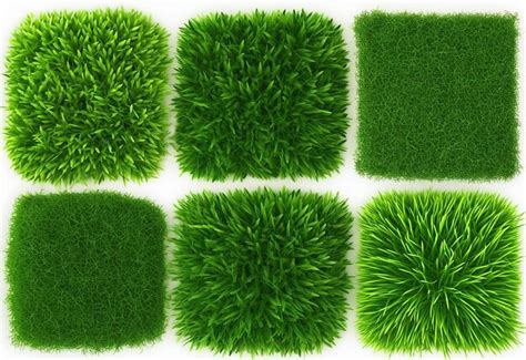 Page 11 Grass Cross Section Images Free Download On Freepik