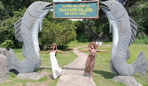 Tourism Activities To Do In Saanane Island National Park Salt Holidays