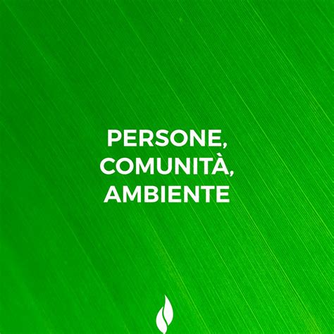 Biomasse Biomassesolide Ebs Associazione Energia Da Biomasse Solide