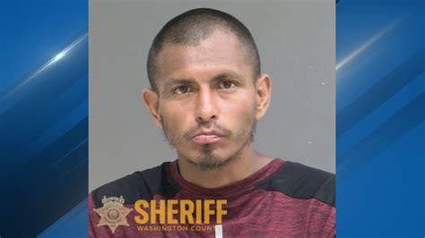 Judge Sentences Washington County Man To 75 Months In Prison After