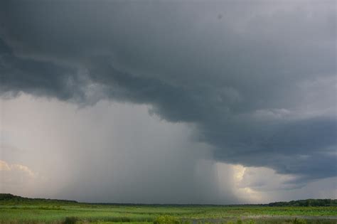 Donderstorm Wikipedia