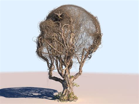 Tree Head Hd Modelo 3d 99 Max Fbx Free3d