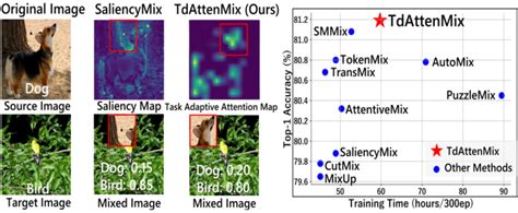 논문 리뷰 Tdattenmix Top Down Attention Guided Mixup