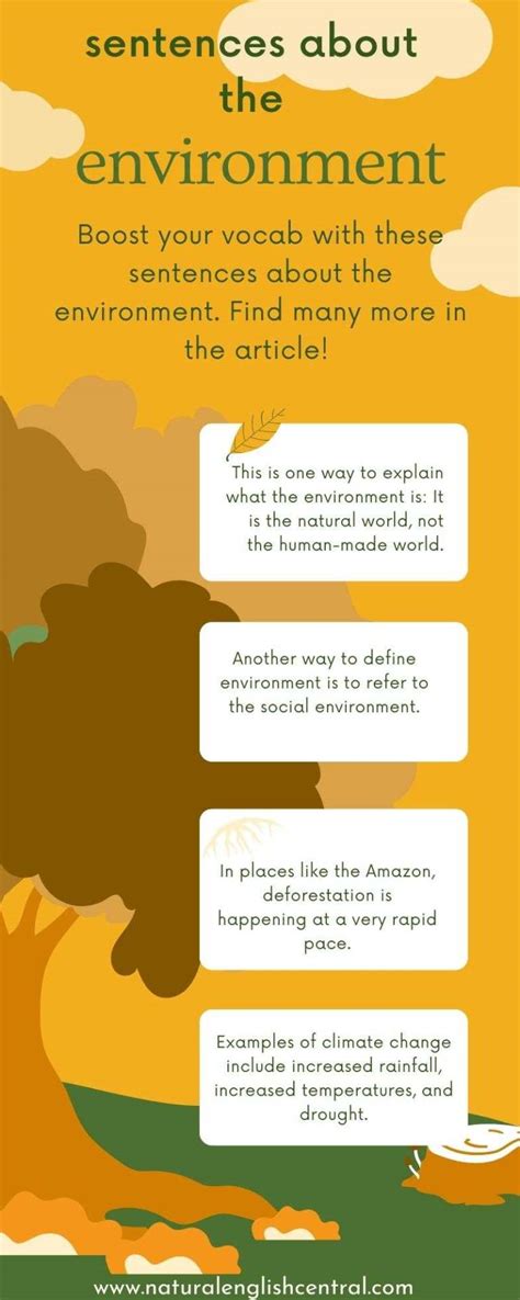 95 Sentences About The Environment To Boost Your Vocab