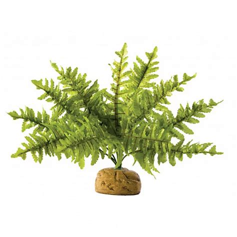 Exo Terra Artificial Boston Fern Small