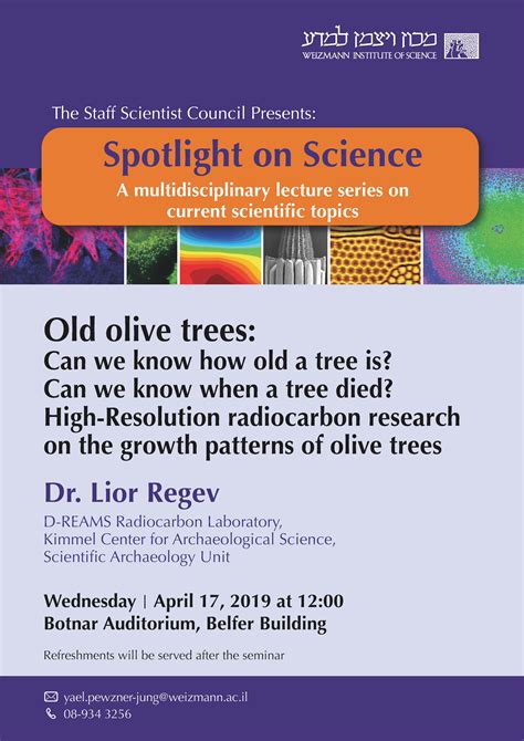 Old Olive Trees Can We Know How Old A Tree Is Can We Know When A Tree