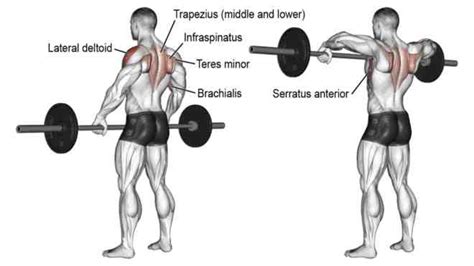 Barbell Upright Row Muscles Worked How To Do And Form