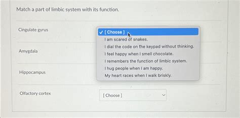 Solved Match A Part Of Limbic System With Its