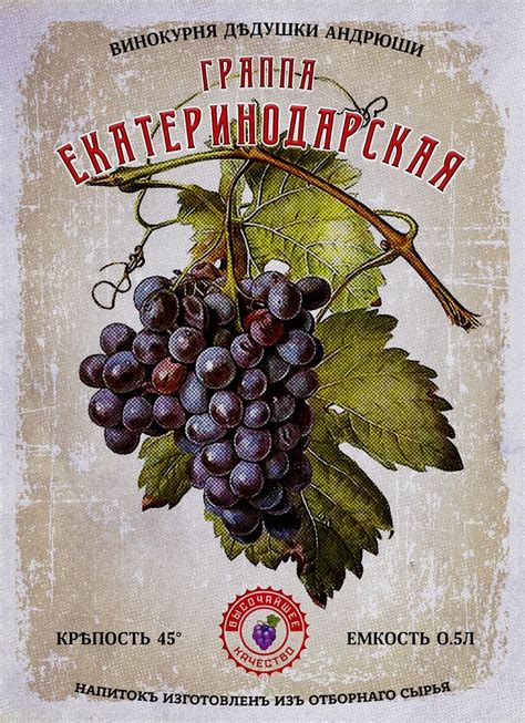 чача grappa виноградная водка граппа | Винные этикетки, Этикетки для ...