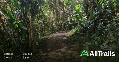 Paradise Trail Kwazulu Natal South Africa 12 Reviews Map Alltrails
