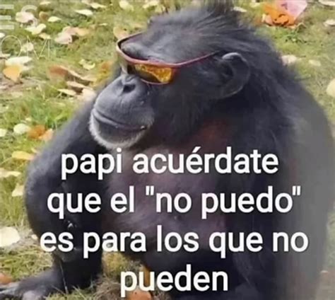 Los Últimos Memes Memedroid