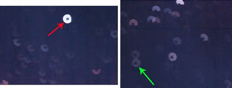 Collimation Error Is This Offset Or Not Reflectors Cloudy Nights