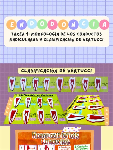 Clasificación De Vertucci Pdf