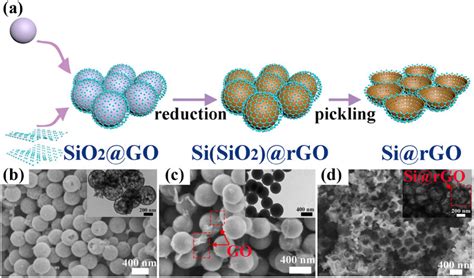 A Schematic Diagram Of The Synthesis Of Si Rgo Sem Image Of B Pss