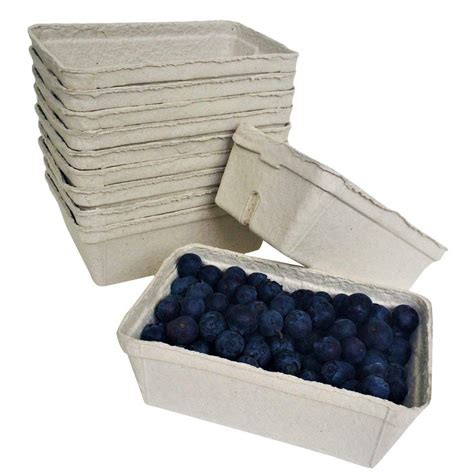 Nutleys 250g Biodegradable Fruit Punnets Nutleys Kitchen Gardens