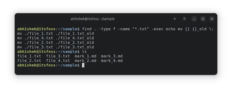 Rename Files And Directories In Linux Command Line Linux Punx