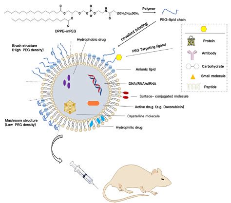 Pegylated Anionic Liposomes Boc Sciences