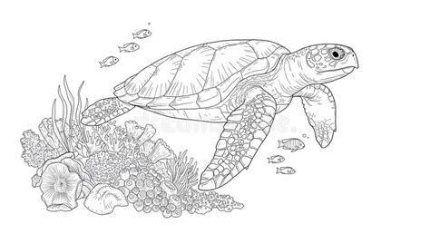 Coral Reef Ecosystem Coloring Page [2025]