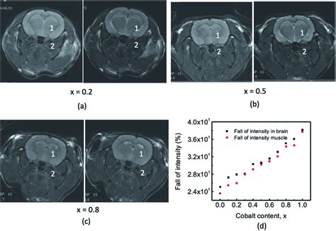 The T2 Weighted Mri Imaging Of Rat Brain Using The Fast Spin Echo Fse