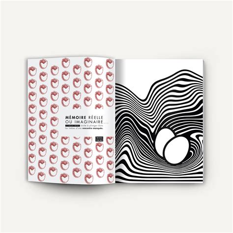 Création Dun Roman Graphique Twins Caroline Henrion Ei