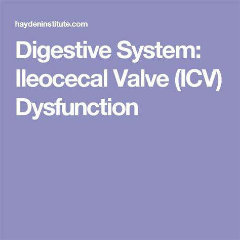 Digestive System Ileocecal Valve Icv Dysfunction Houstons Premier