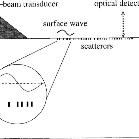 The Angle Beam Transducer Launches Nearly Plane Surface Waves Of Download Scientific Diagram