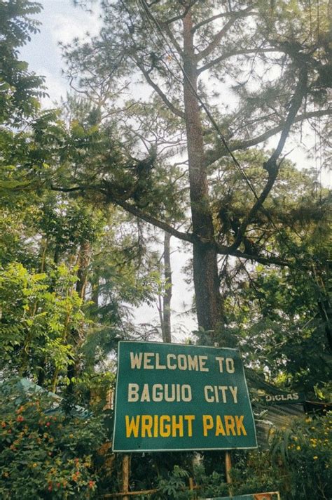 Wright park | Dark nature aesthetic, Cool pictures of nature, Baguio night view