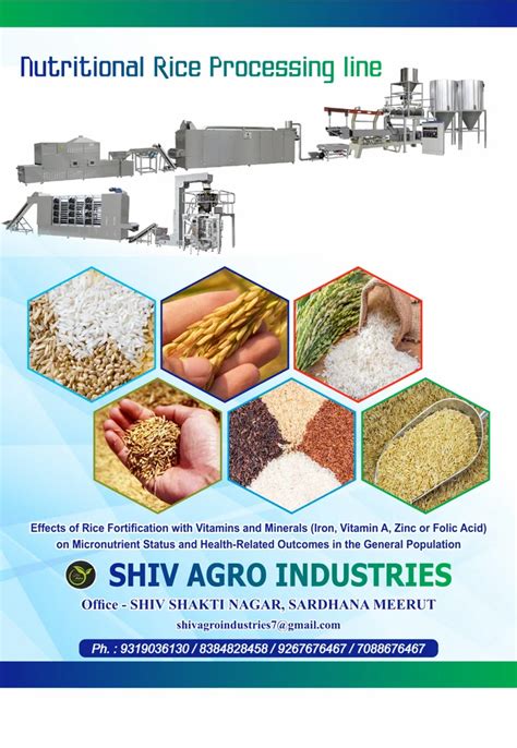 Double Body Paddy Separator Three Phase At ₹ 490000 In Sardhana Id