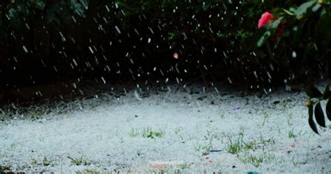 Chalice Symbolism And Meaning Symbolopedia