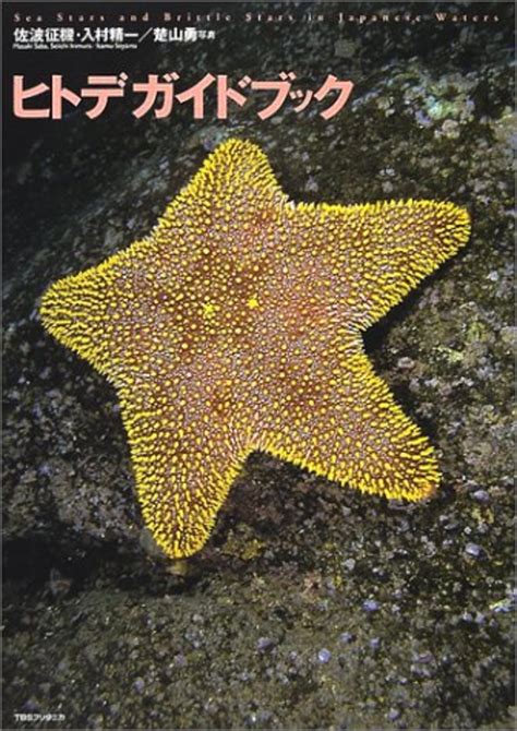 ヒトデ 口 ヒトデ 図鑑 Ylst