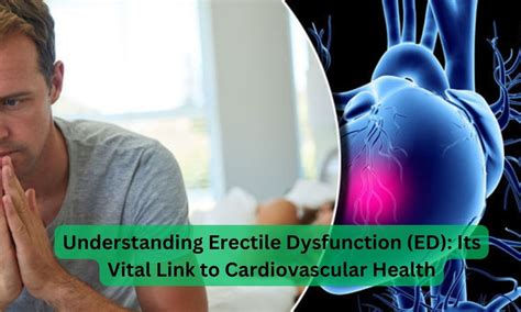 Natural Treatments For Erectile Dysfunction From Diet And Herbs To