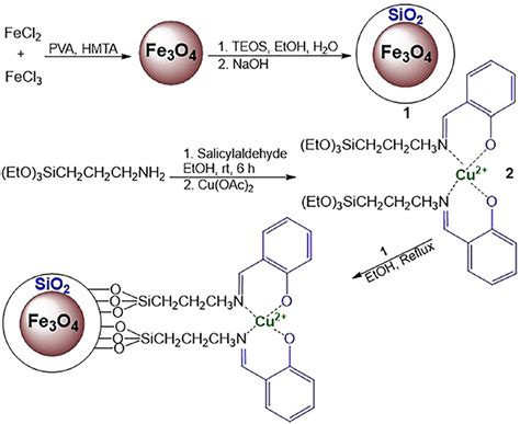 Preparation Of Fe3o4sio2salen‐cu Ii Nanocatalyst Reprinted With Download Scientific