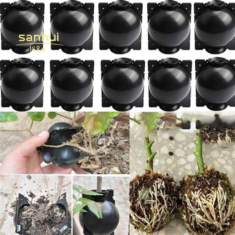 10pcs Reusable Plant Rooting Equipment Kit Cutting Grafting Rooting Box