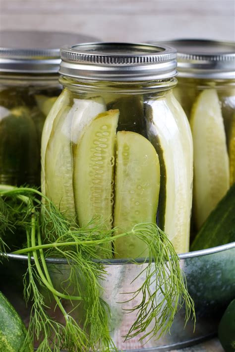Refrigerator Dill Pickles A Cedar Spoon