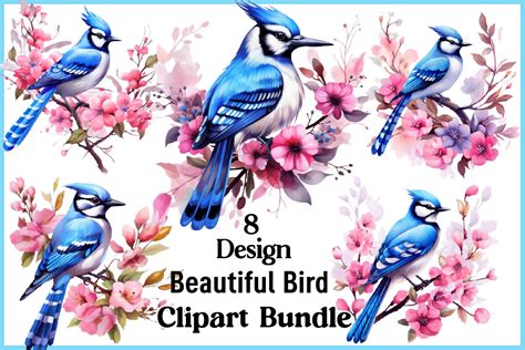 Beautiful Bird Clipart Png Bundle Afbeelding Door Bundle · Creative Fabrica