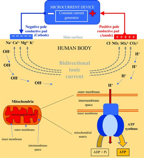 Resulted Electrical Under Skin Current And Subsequent Bioelectrical