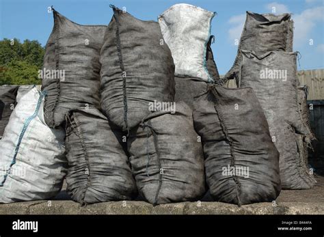 Coal Bag Motherlode Mine At Antoinette Roy Blog