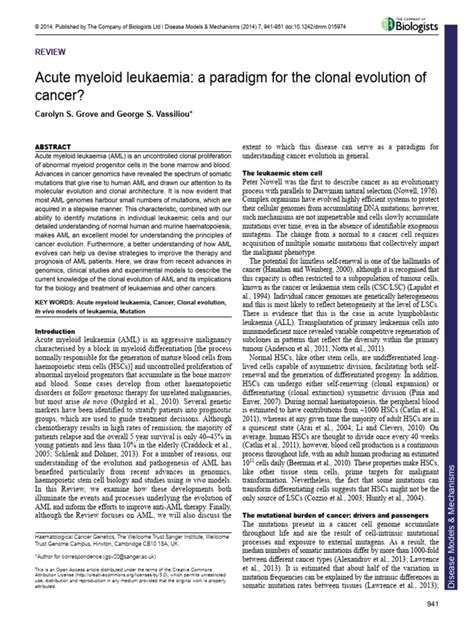 Acute Myeloid Leukaemia A Paradigm For The Clonal Evolution Of Pdf Mutation Haematopoiesis