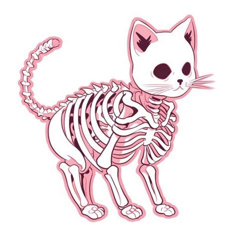 Images De Squelette Chat Téléchargement Gratuit Sur Freepik