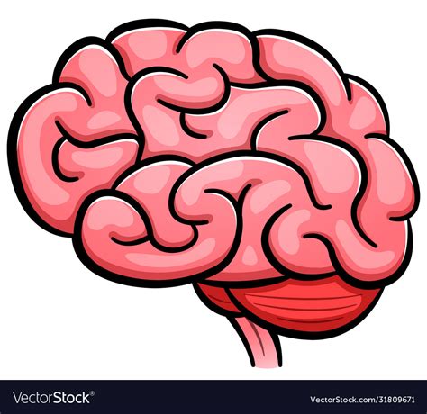 Image Cartoon Brain At Arnetta Parker Blog