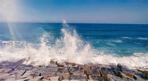 Premium Photo Alexandria Cournich Alexandria Egypt