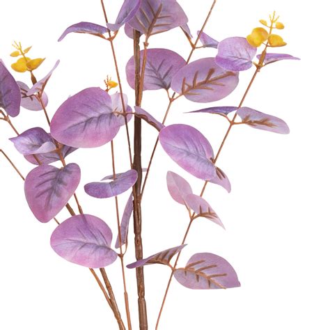 Eucalyptus Stem Purple Eleganzafloral