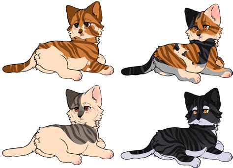 Top 10 Cutest Warrior Cat Kits At Nicholas Bruny Blog