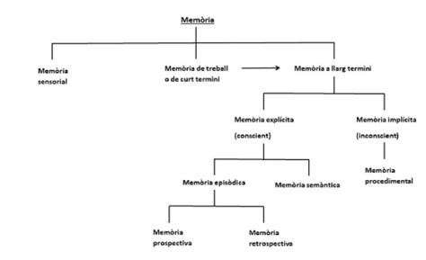Mapa Conceptual De La Memoria Mapas Conceptuales