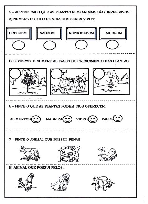 Atividades Sobre O Ciclo De Vida Dos Animais 2 Ano Nazaedu