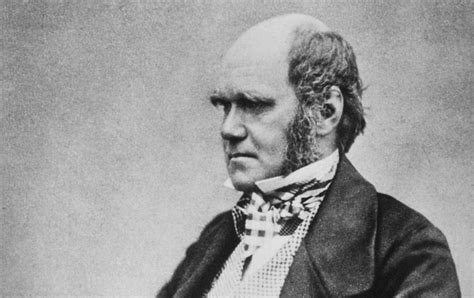 November 24 1859 Charles Darwin Publishes ‘on The Origin Of Species The Nation